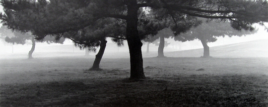 Leslie Levy Fine Art - Richard Calvo